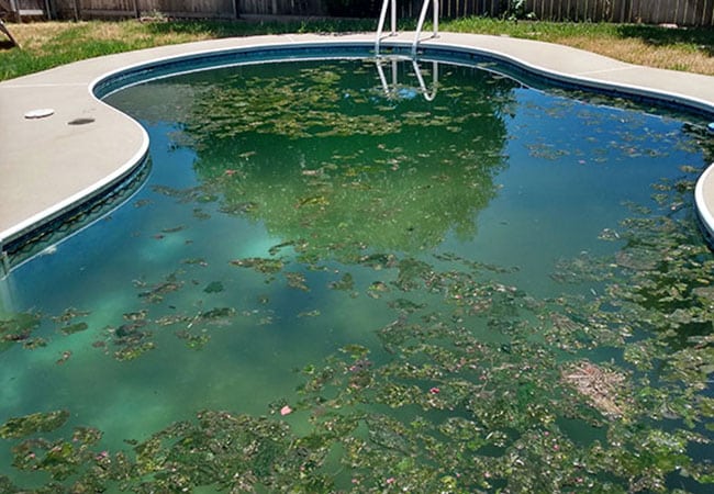 Gallery - Integrity Pool Service